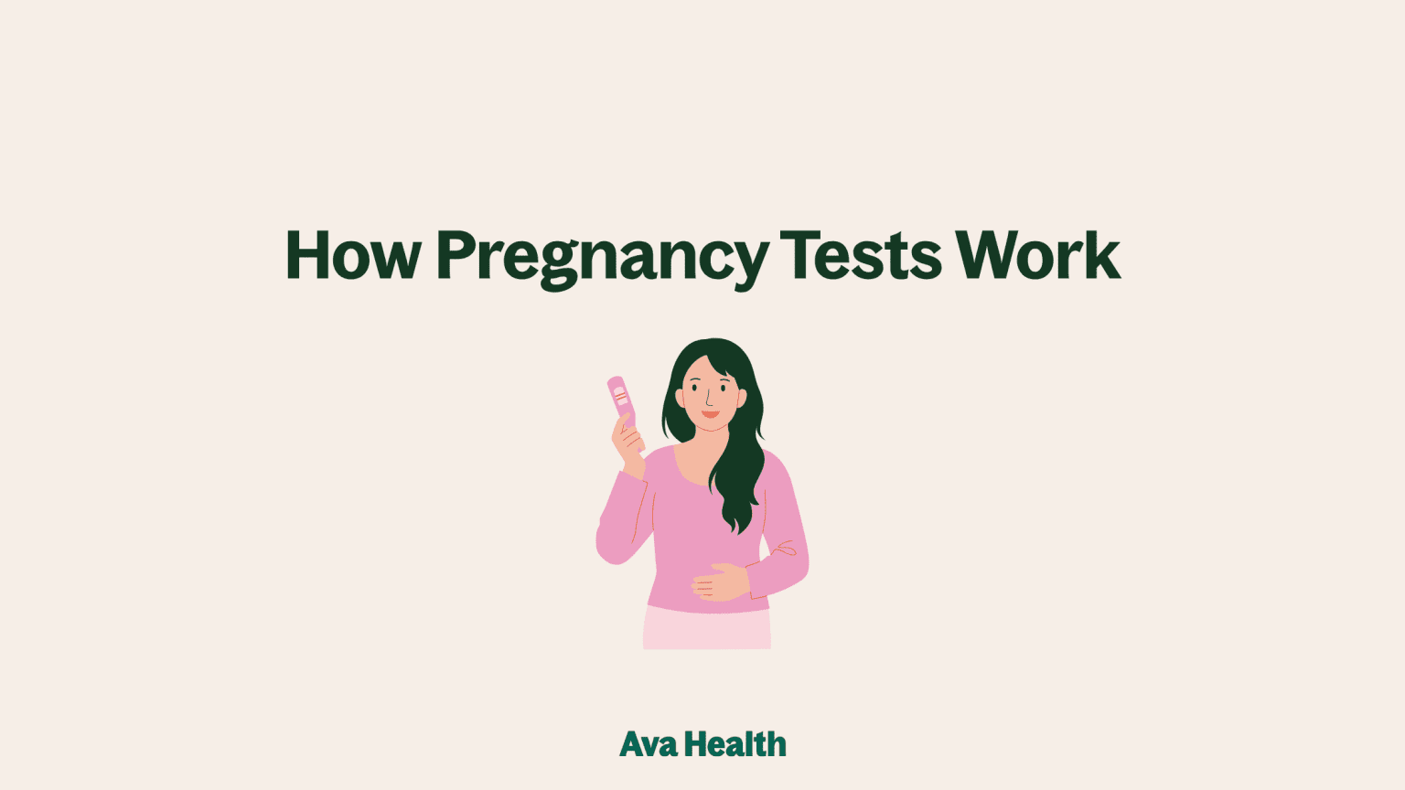 How Pregnancy Tests Work: Everything You Need to Know - Ava Health